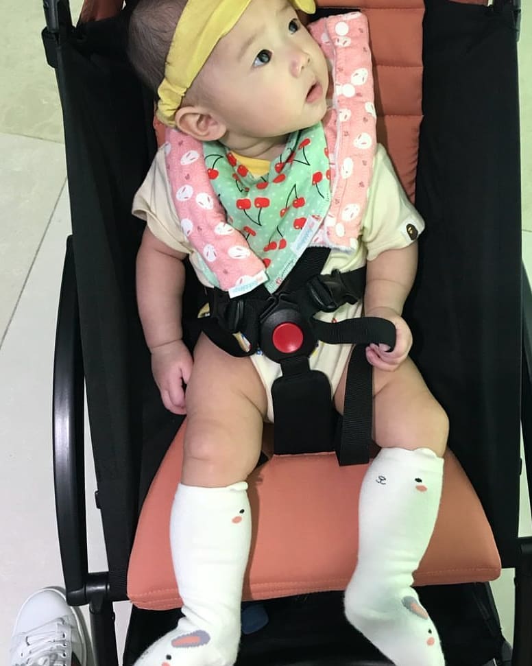 Stroller Strap Protectors – My Babblings®